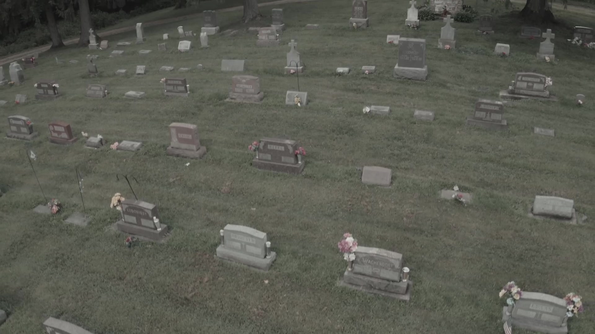 Final 19 – Buffalo8