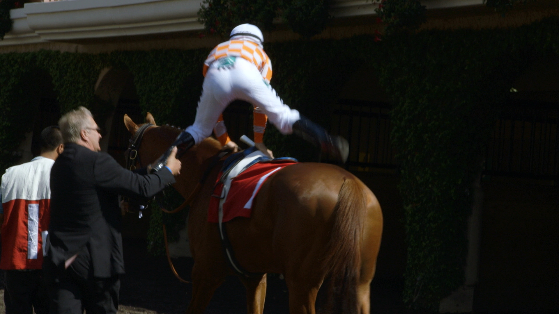 Stable Wars Season 2 – Buffalo 8