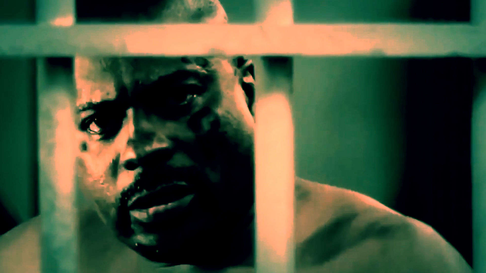 The Nest – Buffalo 8